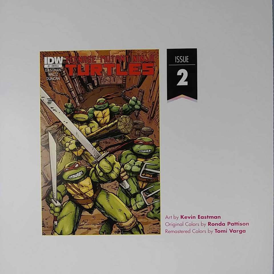 TMNT Teenage Mutant Ninja Turtles IDW Comic Issue #2 Cover Print 10 x ...