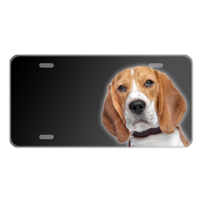Custom Personalized License Plate Auto Car Tag With Cute Beagle Dog Add ...