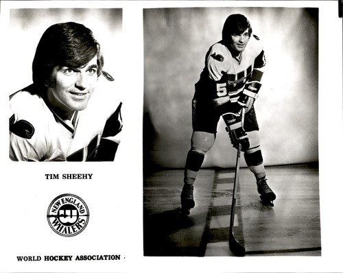 PF4 Original Photo TIM SHEEHY 1972-74 NEW ENGLAND WHALERS CENTER WHA ...