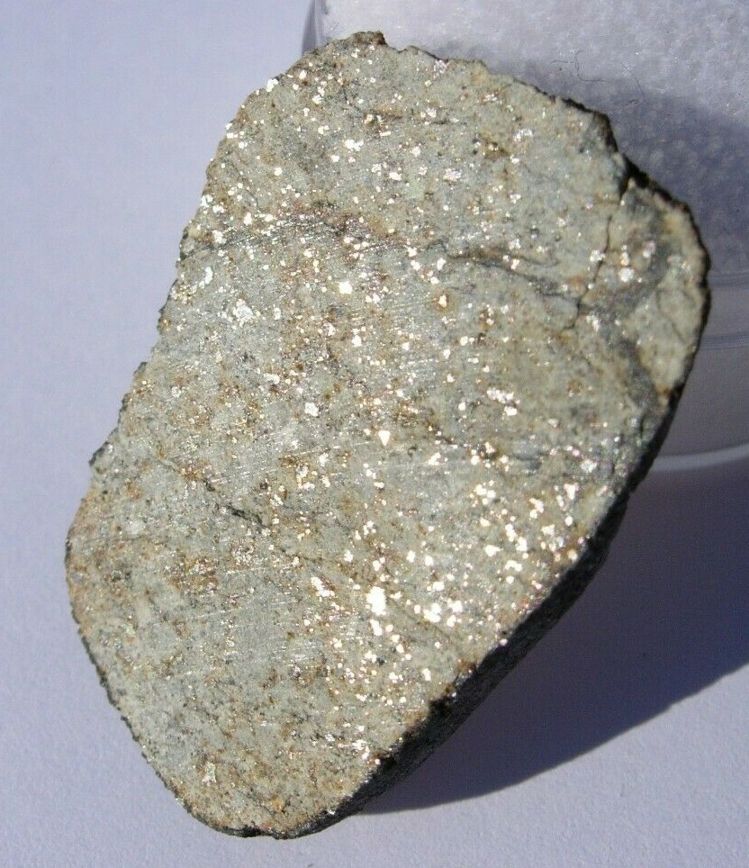 Vinales meteorite slice 4.295 grams 30x21x4mm COA melt with shock veins ...