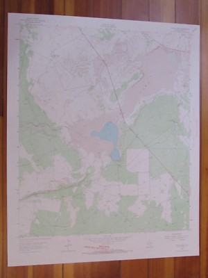 Toyah Lake Texas 1966 Original Vintage USGS Topo Map | eBay