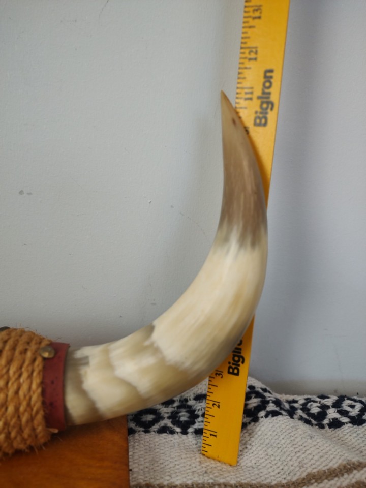 Vtg Mounted Steer Longhorn Bull Horns Leather Rope Wood Authentic ...