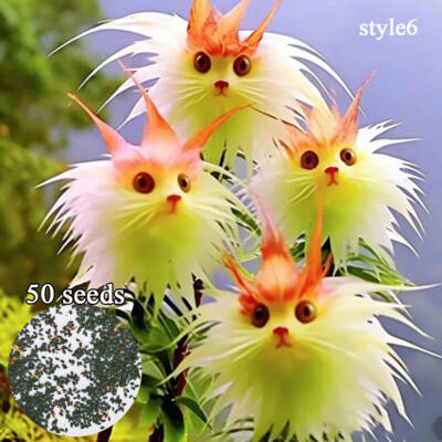 Echte Blumen Mit Katzengesicht