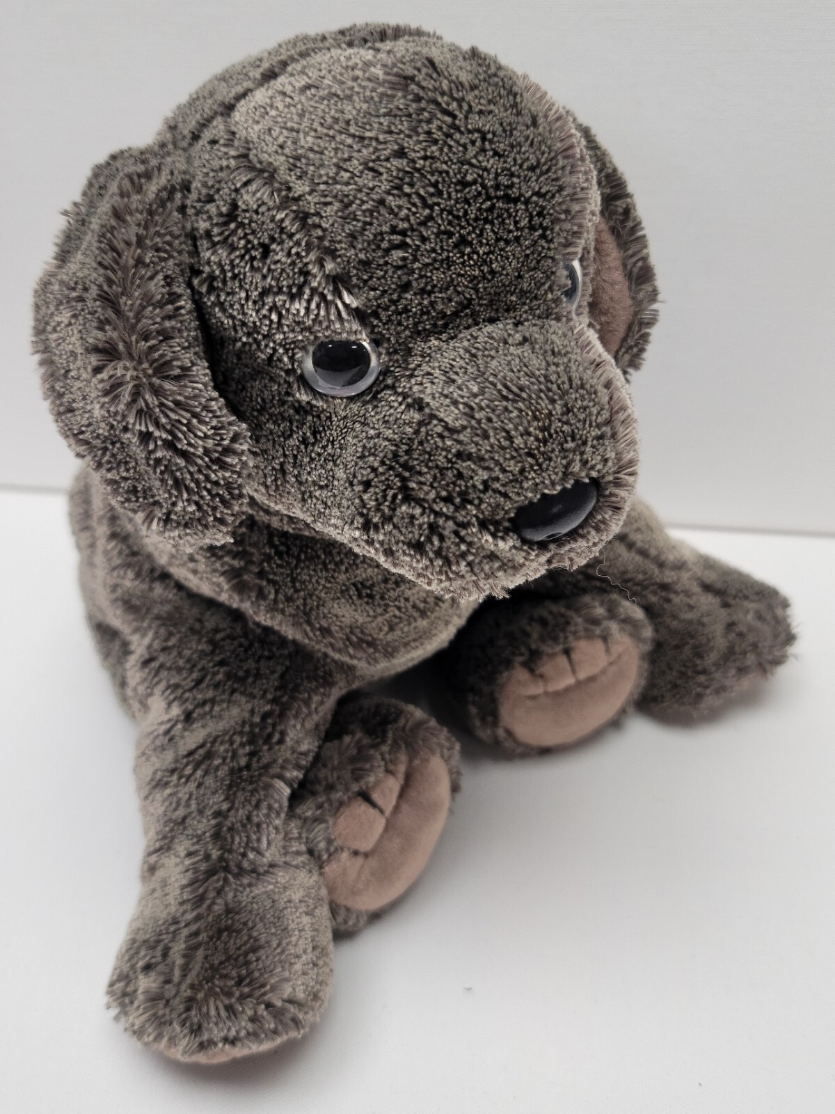 TY FRISBEE the DOG BEANIE BUDDY 10” (Ty 2002) Plush Soft Stuffed Animal ...