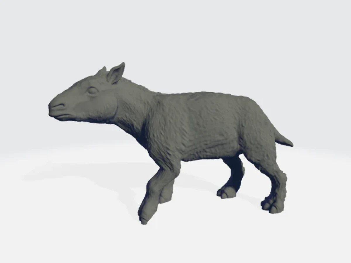 Propalaeotherium