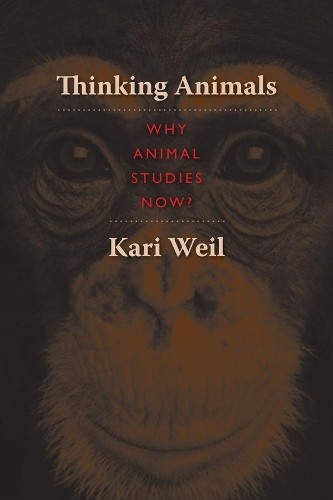 Kari Weil Thinking Animals (Paperback) 9780231148092| eBay