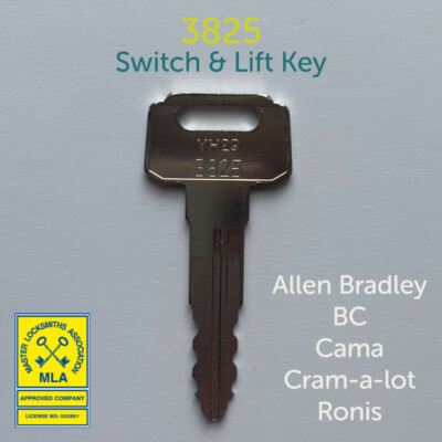 3825 Switch / Lift Key | eBay