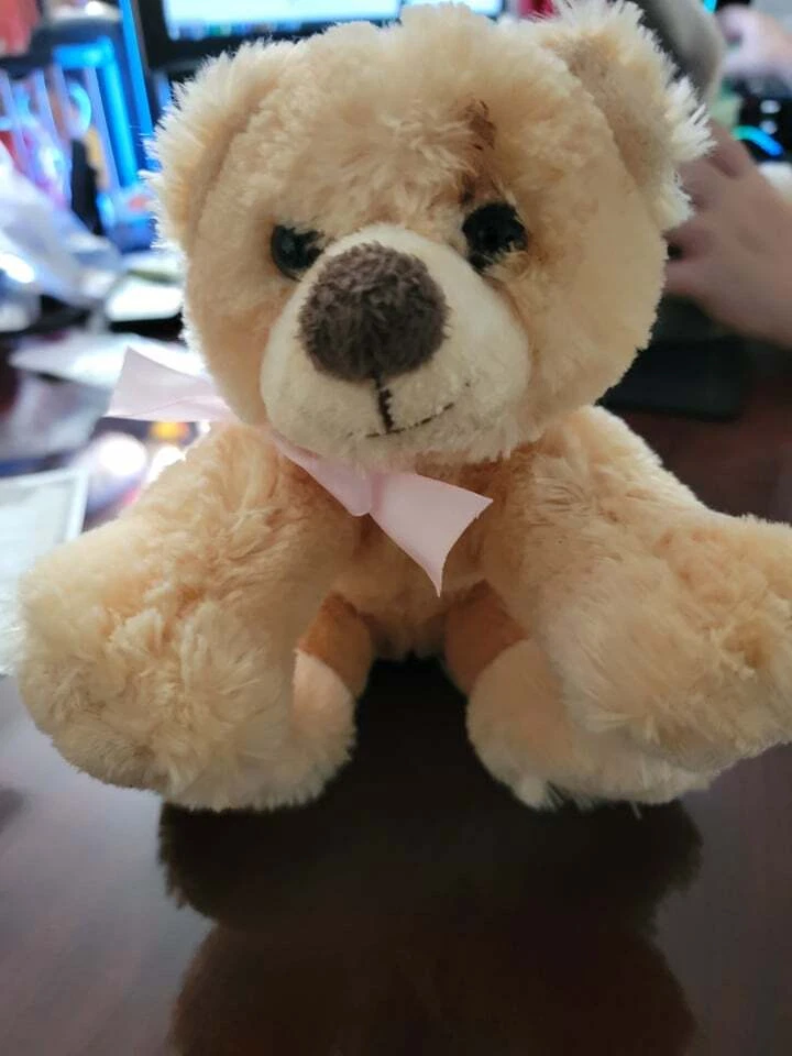 Super Cool Teddy Bears Faces