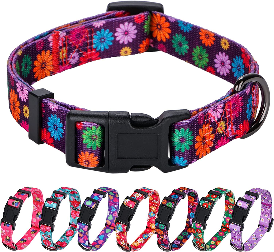 Girl Dog Collars Fall Daisy Pattern, Colorful Flowers Print, Female ...