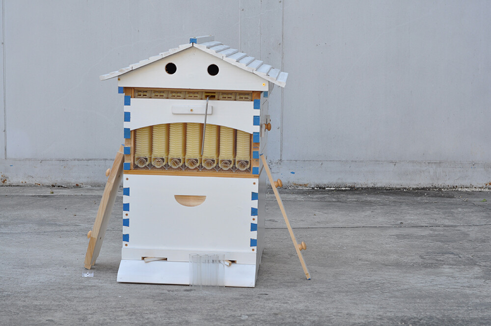 Auto Seeping Bee Hive Beekeeping Brood Wooden House Bee Boxes &7 ...
