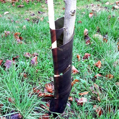 100 Rabbit,Tree GUARDS & CANES, Shelters, Spirals, Protectors,Hedge | eBay