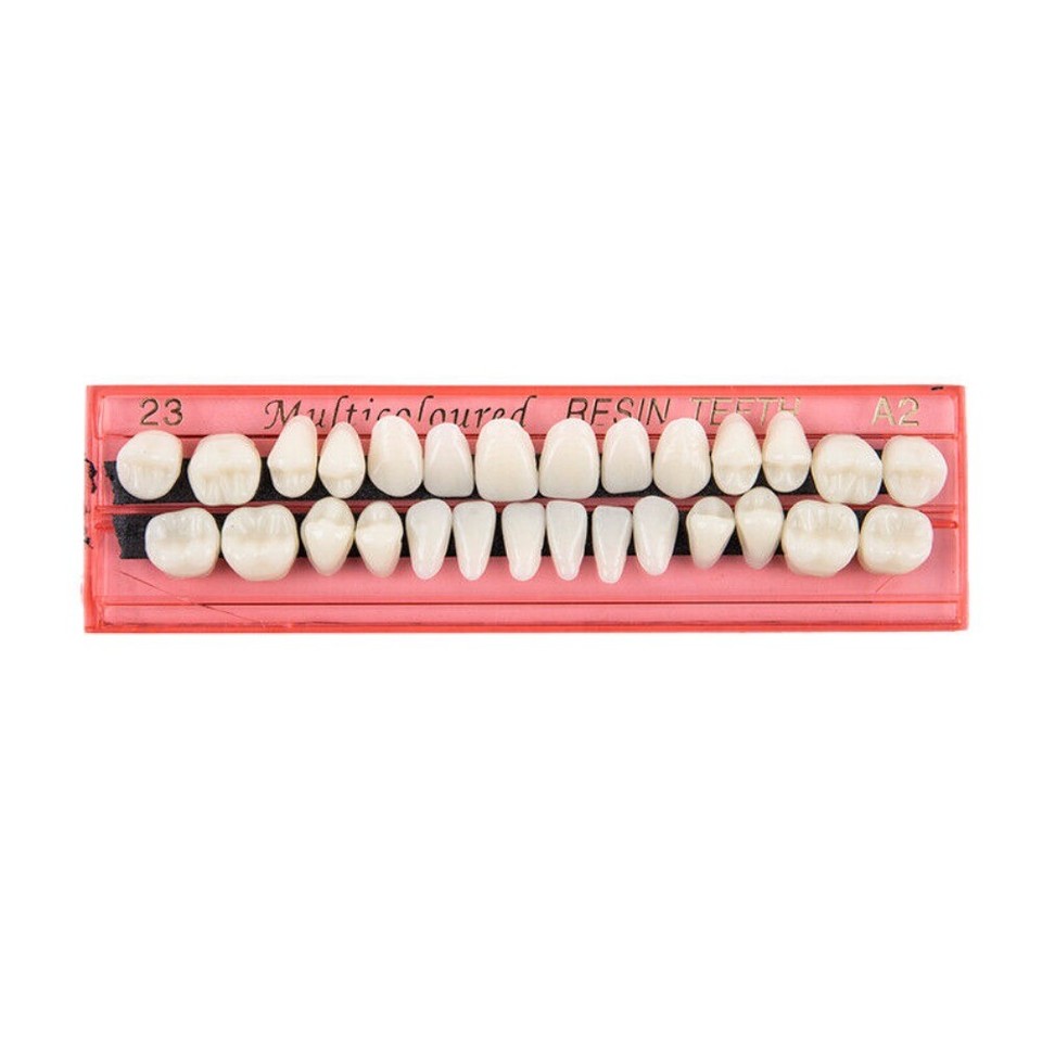 28Pcs Resin Teeth Model Durable Dentures Universal False 'Teeth Dental ...