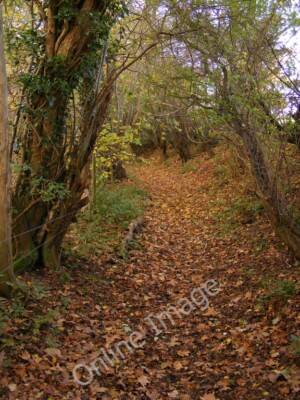 Photo 12x8 Angles Way/Bigod Way Ditchingham Beyond the fence to the ...