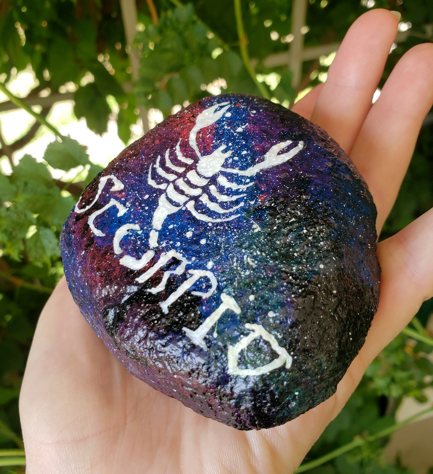 Hand Painted Rock Scorpio Zodiac Sign Galaxy Stone | eBay