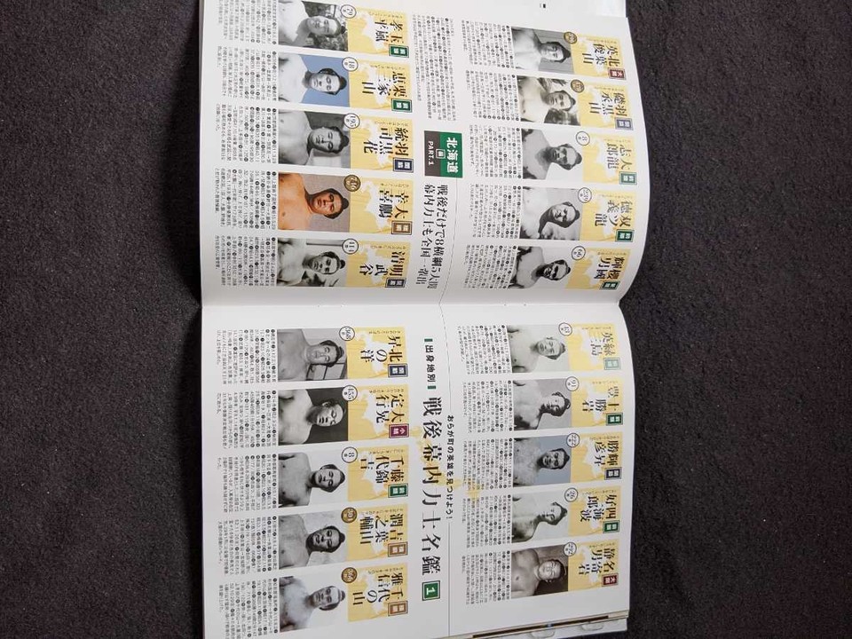 Sumo Wrestling DVD Magazine First Issue Yokozuna Kita No Umi Rivalry ...