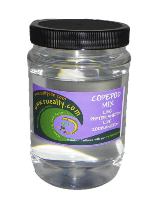 Live Copepods 2000 Live Amphipods + Copepods - 32oz (8000 Pods), Tisbe ...