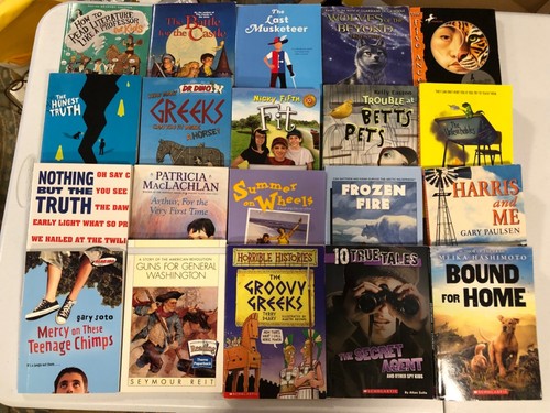 Lot of 20 Chapter Books for BOYS Youth Early Reader Young Adults ...