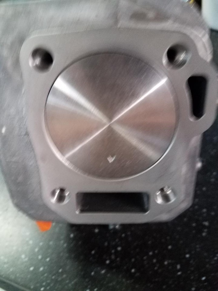 Predator 236cc High Performance Outlaw Short Block Warranty