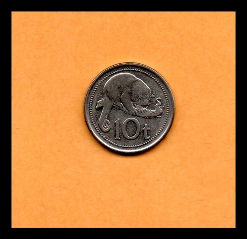 Papua New Guinea Coin 10 Toea 2005 Nickel 5.16 g. 23.72 mm | eBay