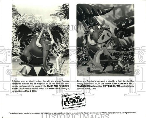 1996 Press Photo Disney's "Timon & Pumbaa's Wild Adventures" Cartoon ...