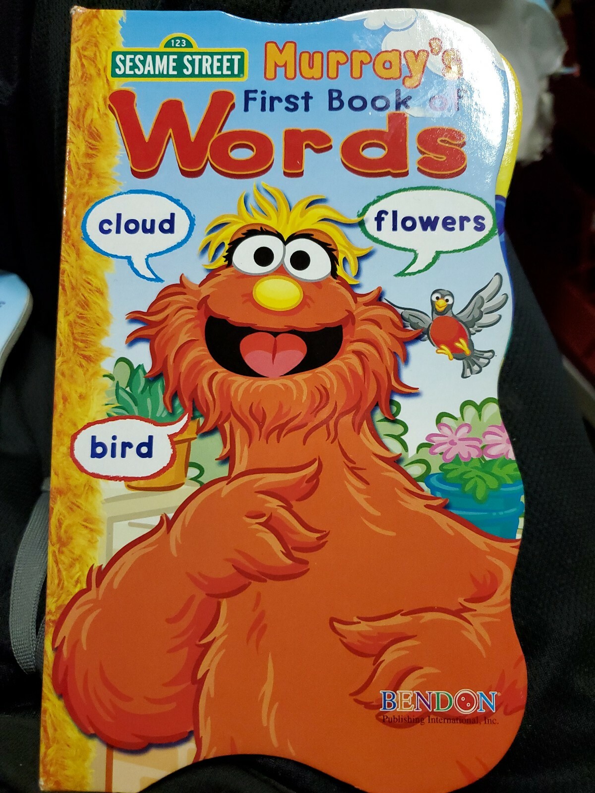 Sesame Street First Board Books 2010 EDITION Set of 4 and 1 duplicate ...