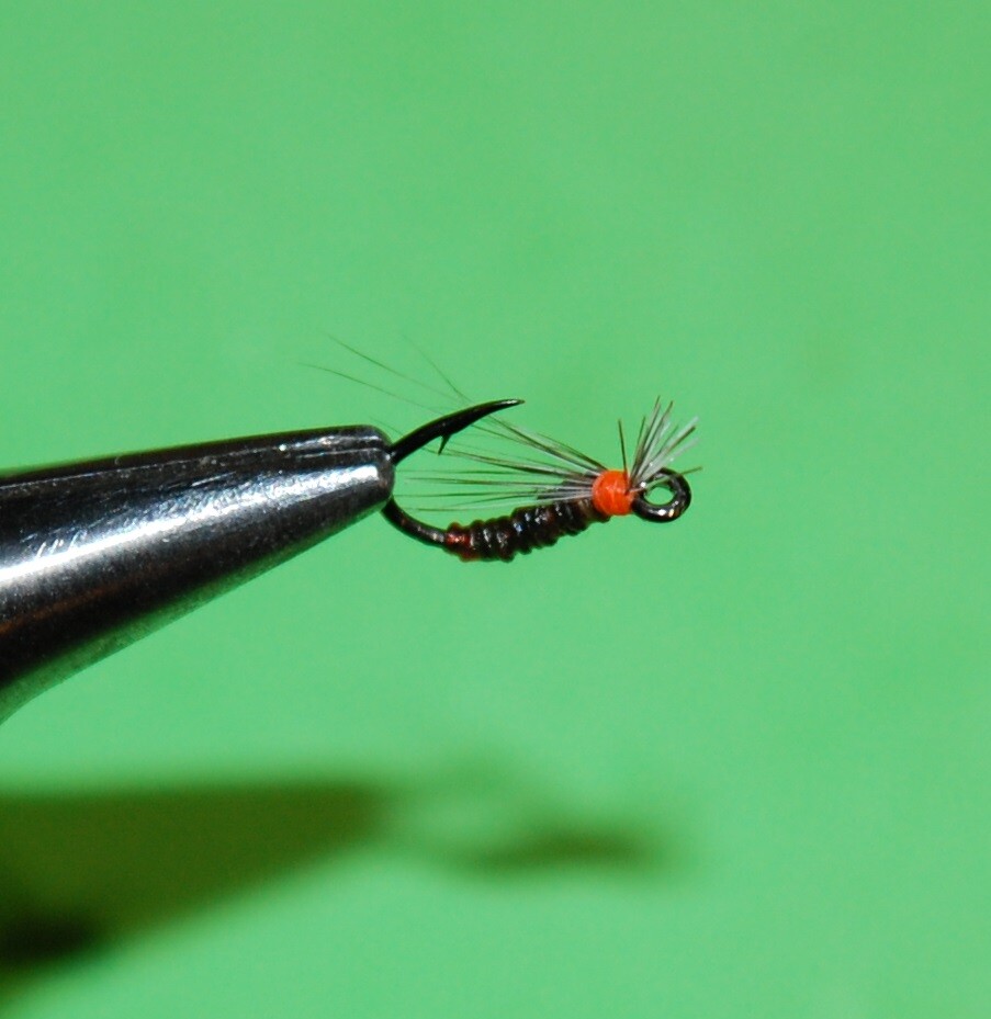 1 dozen (12) Nano Emerger - Life Stage Pupa - Sub Surface Fly - Tandem ...