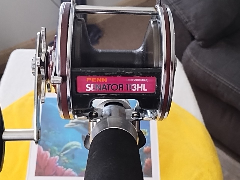 Penn Special Senator Fishing Rod 6'6" Heavy 30-50lb And Reel 113 HL | eBay