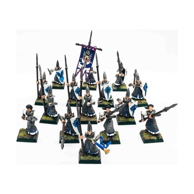 GW WHF High Elves Plastic High Elf Spearmen Collection #76 NM | eBay
