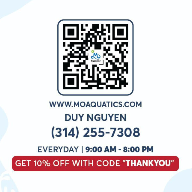 moaquatics314 | eBay Stores