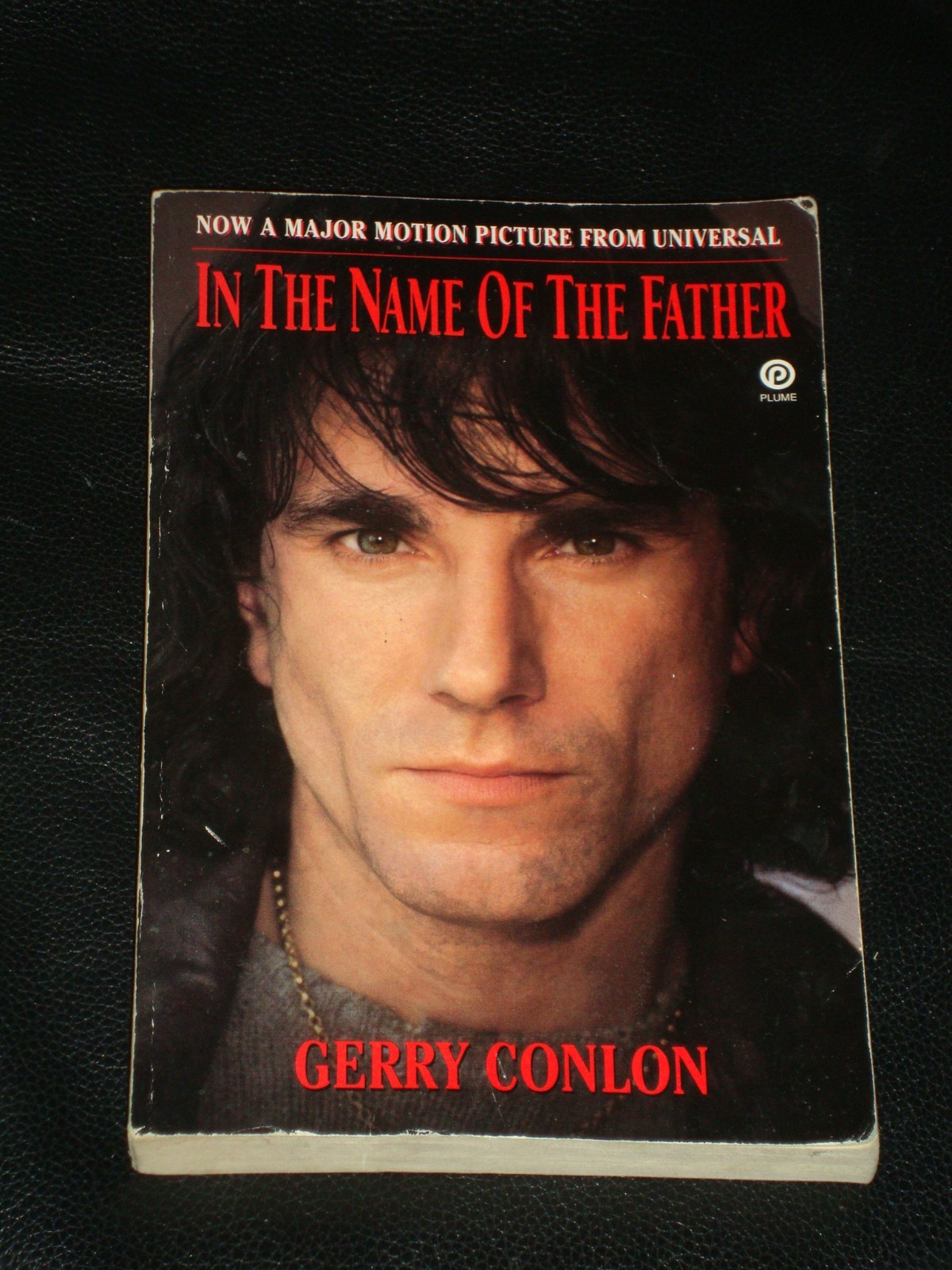 IN THE NAME OF THE FATHER by Gerry Conlon (Paperback, 1993) Made into ...