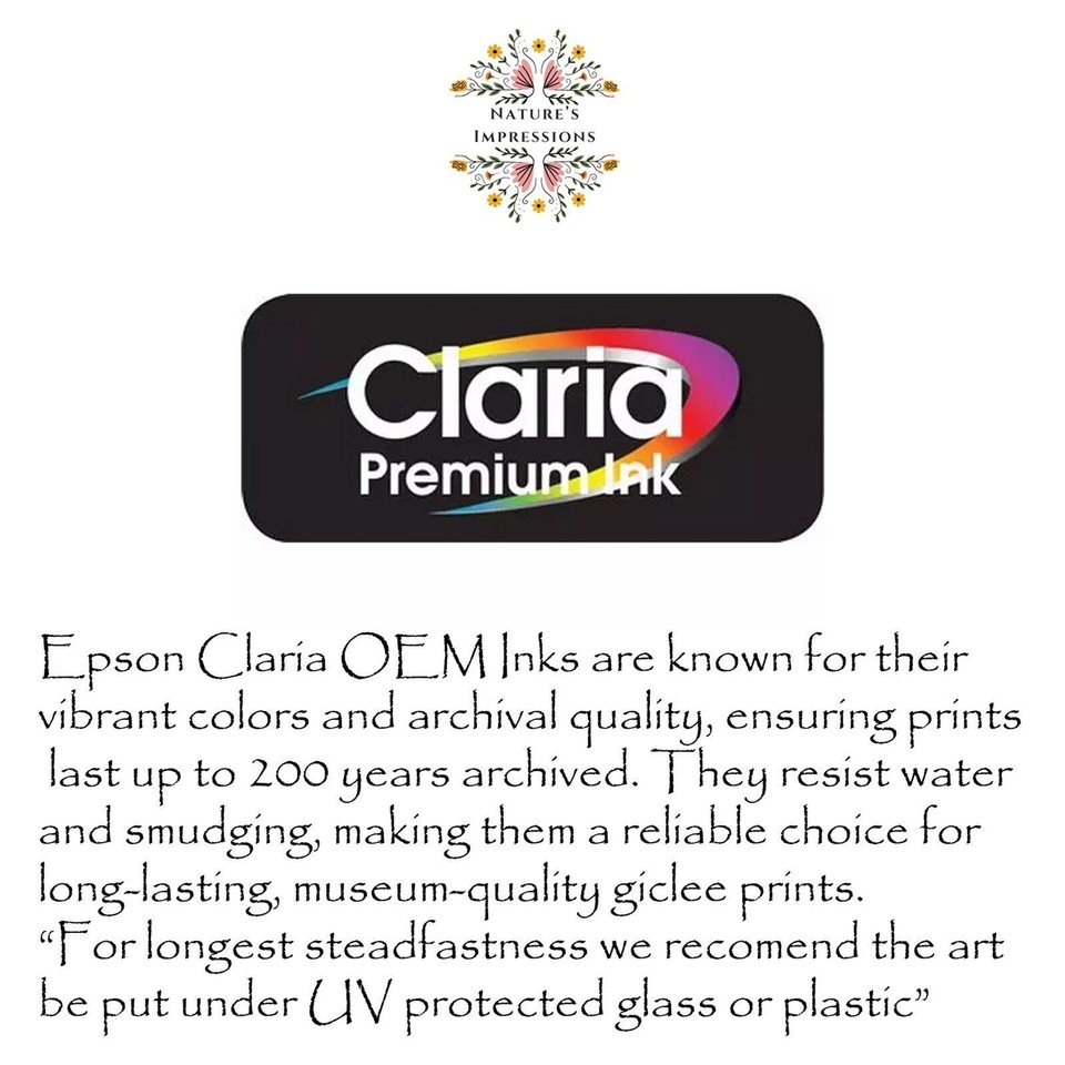 Native American Hunting Buffalo Painting 8x10 Museum Grade Giclee Paper ...