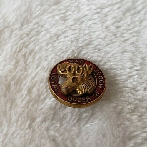 Vintage Loyal Order of Moose Lodge PAP Purity Aid Progress Pin gold red ...