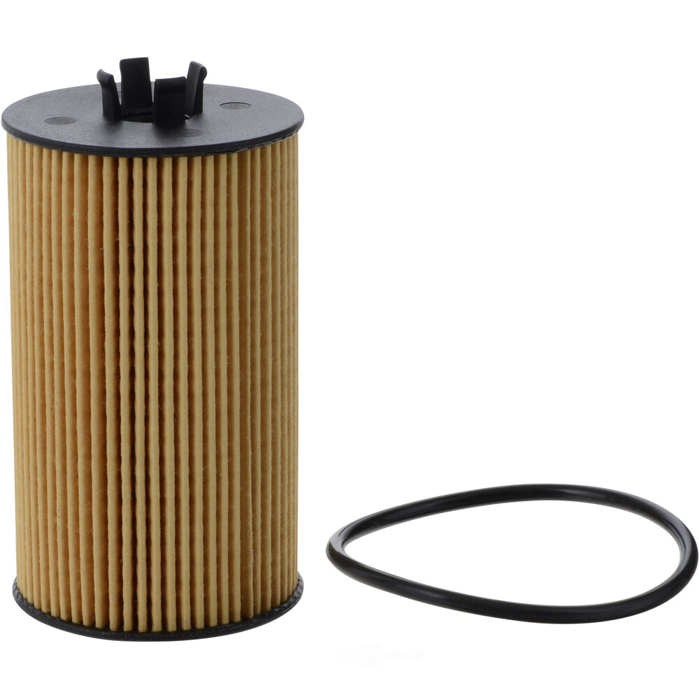 Engine Oil Filter Champion P981 for sale online | eBay