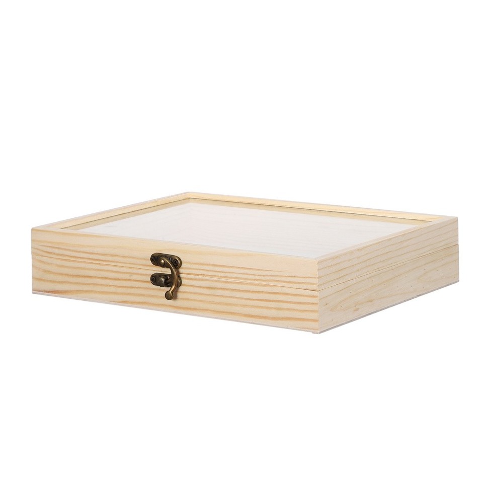 Display Box: Insect Specimen Frame - 26x20cm Diy Specimen Collection ...