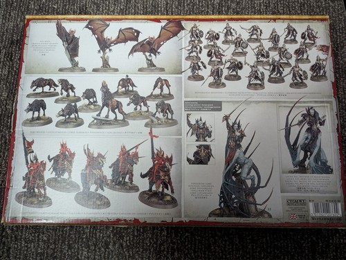 Warhammer AOS Age of Sigmar Soulblight Gravelords Vengorian Court ...