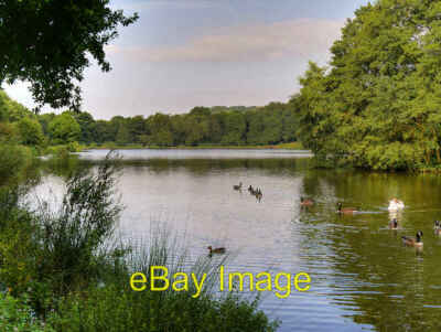 Photo 6x4 The Miller's Pond, Hardwick Park Astwith Part of the National ...