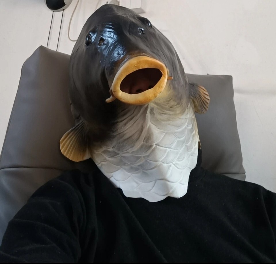 Fish Carp Latex Mask Animal Halloween Costume Headwear Party Mask | eBay UK