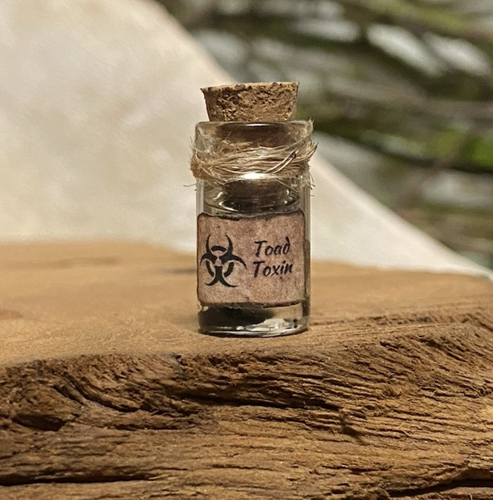 Dollhouse Miniature Witchy Halloween Potion, 1/12 Haunted Apothecary ...