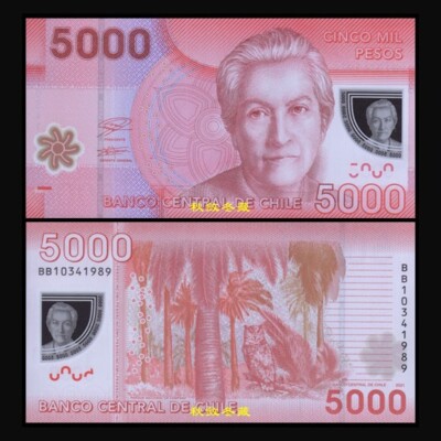 Chile 5000 Pesos, 2021, Polymer, New Sign.: Marcel-de Ramón, UNC | eBay