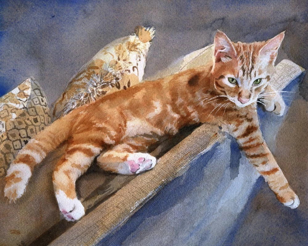 Orange Tiger Tabby Cat
