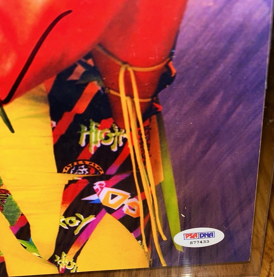 WWE WWF Macho Man Randy Savage Autographed Signed 8x10 Photo PSA/DNA ...