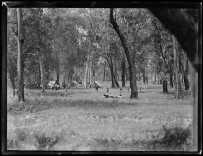 Communist Camp at Kentucky, New South Wales, 1931 Australia Old Photo ...