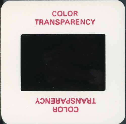 U706 Original 35mm Slide Fine Art Nude Model Posing Risque Beauty 70s ...