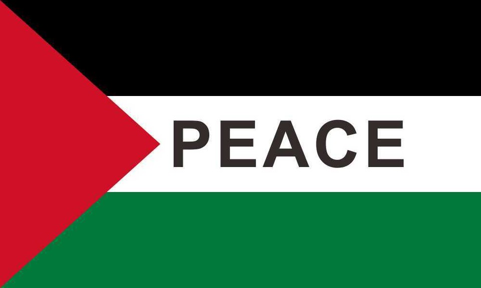 Palestine Flag Galilee Forces Gaza Libera PCP PIJ PLA PSLF PFLP ...