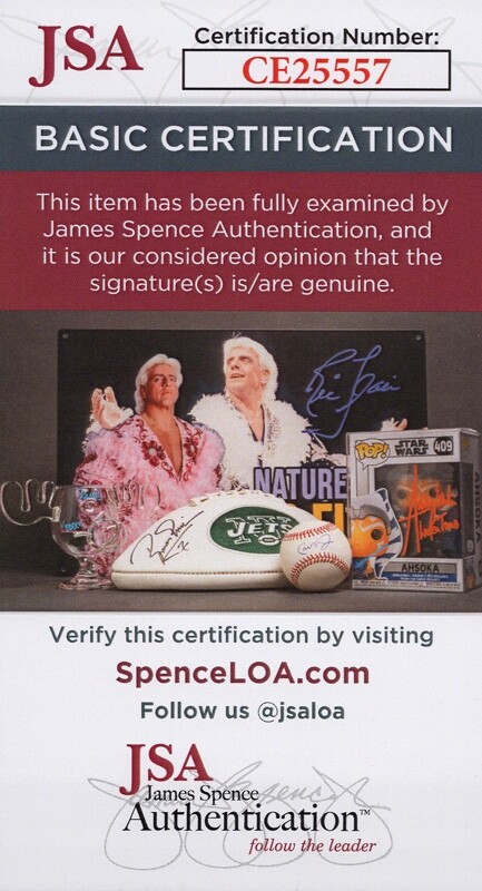 SHAI GILGEOUS-ALEXANDER signed SGA CONVERSE Shoes ALL STAR BB CX OX Ex ...