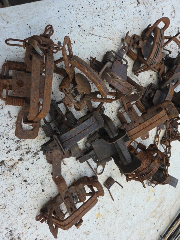 Parts Repair Lot Victor Etc No 1 To 3 Coil Spring Traps Trapping ...