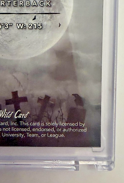 John Elway Haunted Hits | Wild Card Monster Hunt Broncos QB | eBay UK