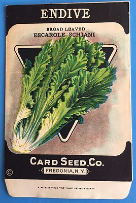 *Original* ENDIVE Escarole Lettuce CARD SEED Packet Pack 1920's ...
