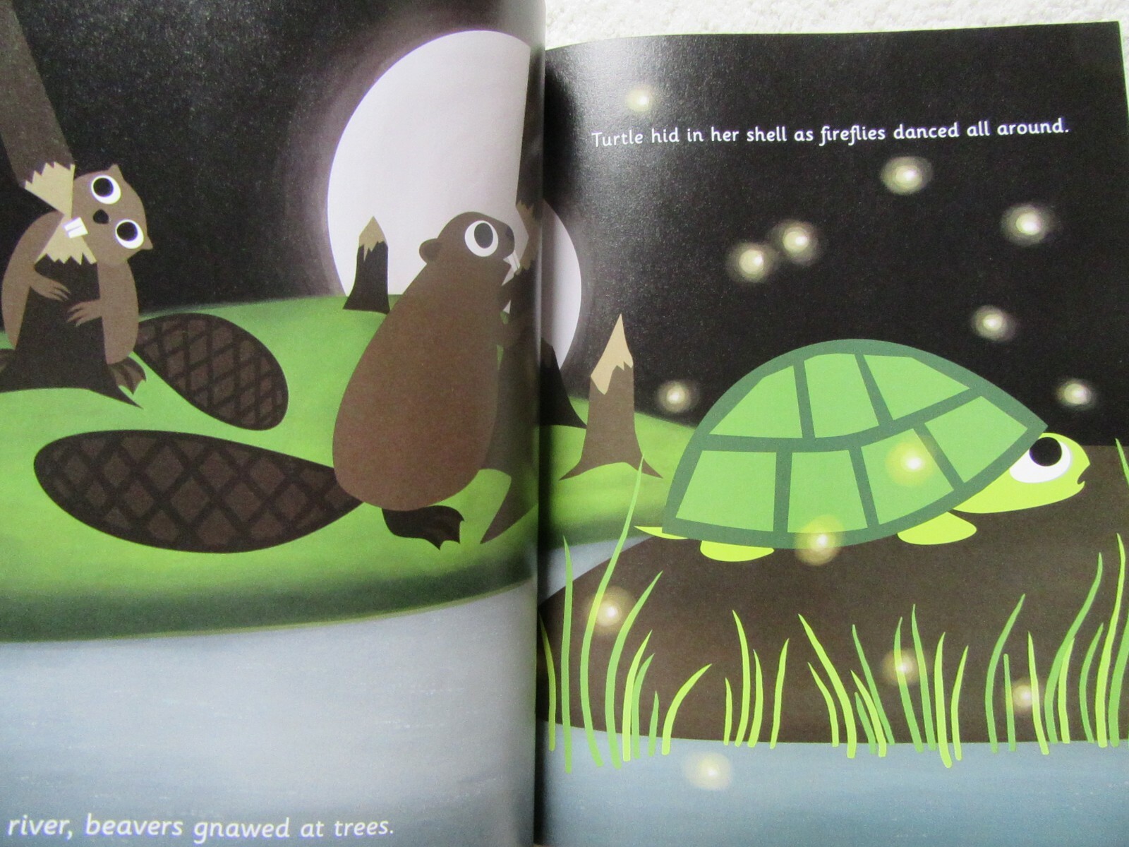 Little Owl's Night by Divya Srinivasan Paperback 2015 for sale online ...