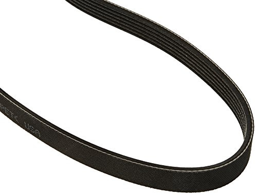Honda Genuine 31110-R1A-A01 Alternator Belt | eBay